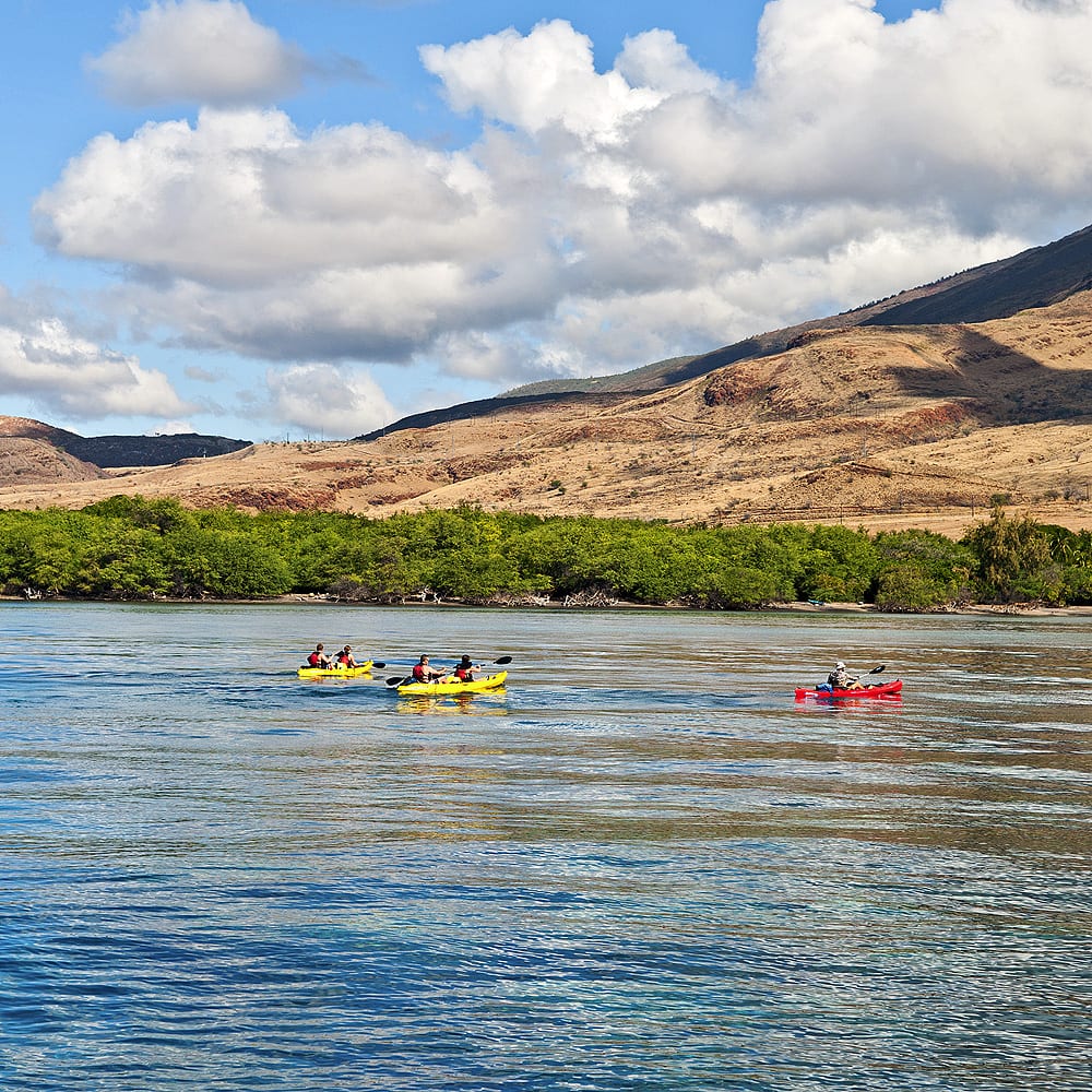 Olowalu Reef & West Maui Area - Four Winds Maui Snorkeling Tours