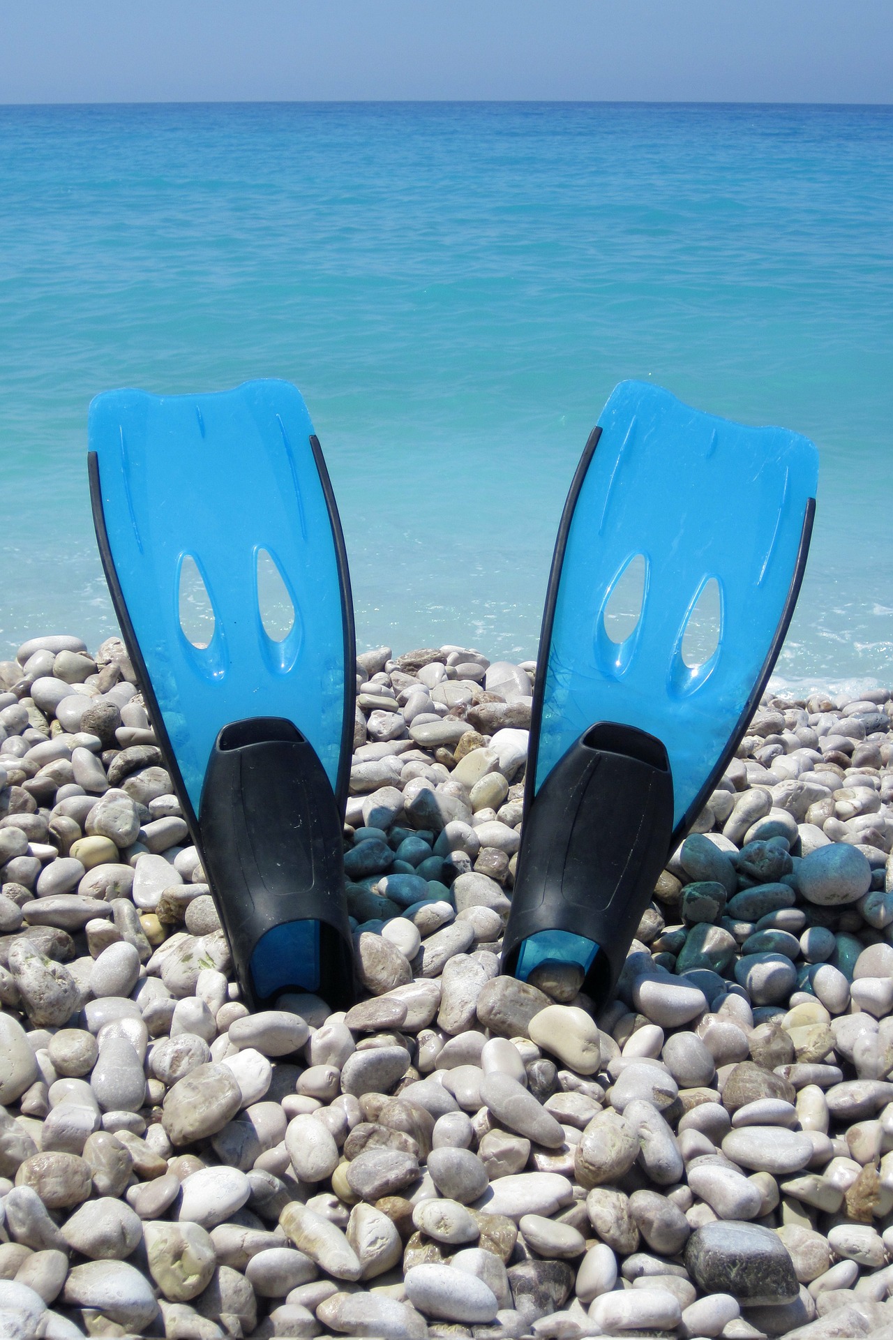 Beginners Guide to Snorkeling - Four Winds Maui Snorkeling Tours