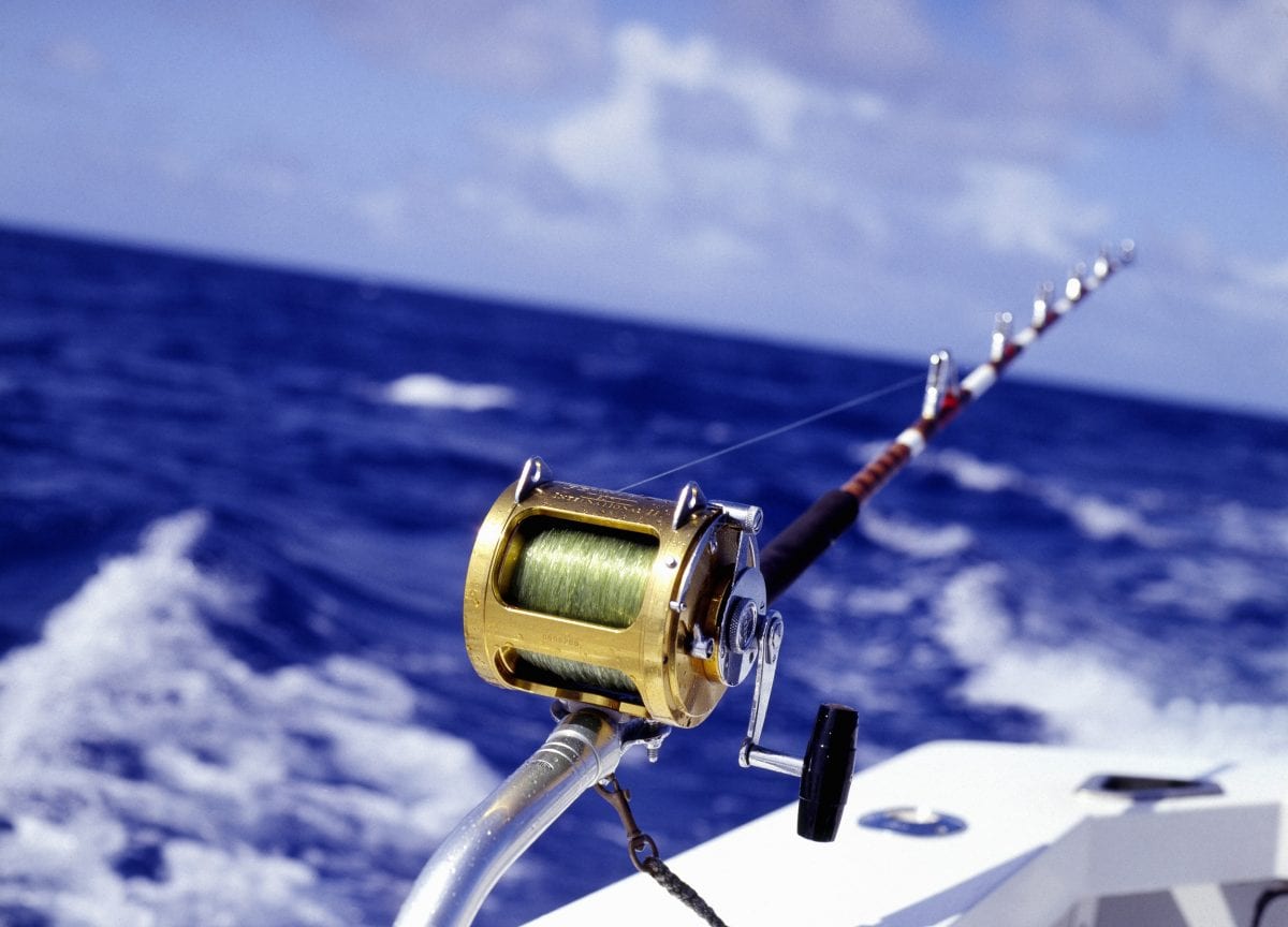 Sport Fishing in Maui - Ono, Mahi Mahi & Other Big Game Fish